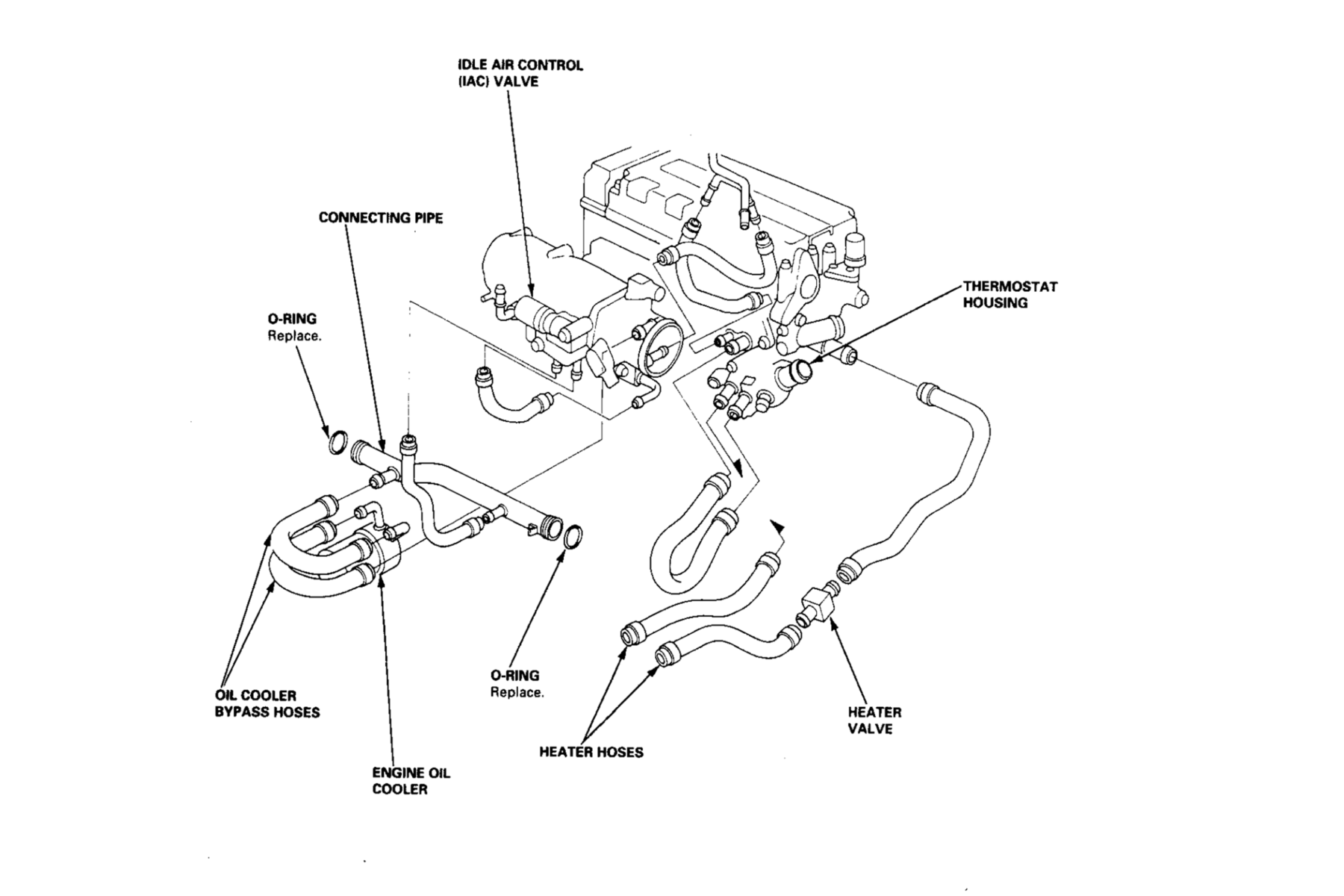 B-Series Bypass Outlet Hose – Racing History Company